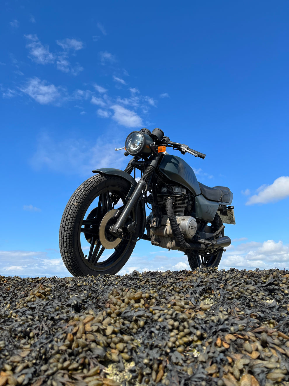 Shop Digi Sync - Digi Sync